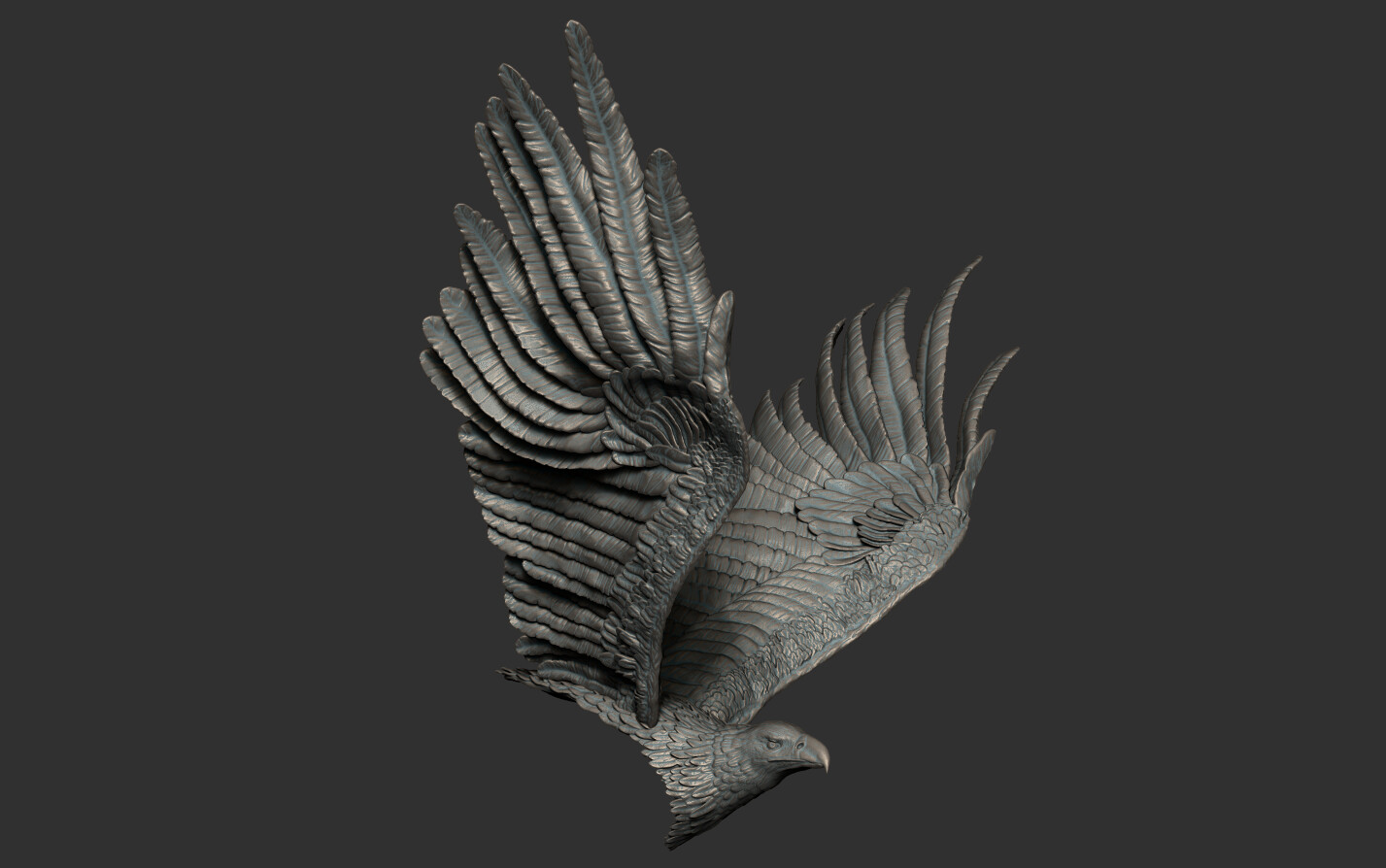 ArtStation - Eagle Flying | Resources