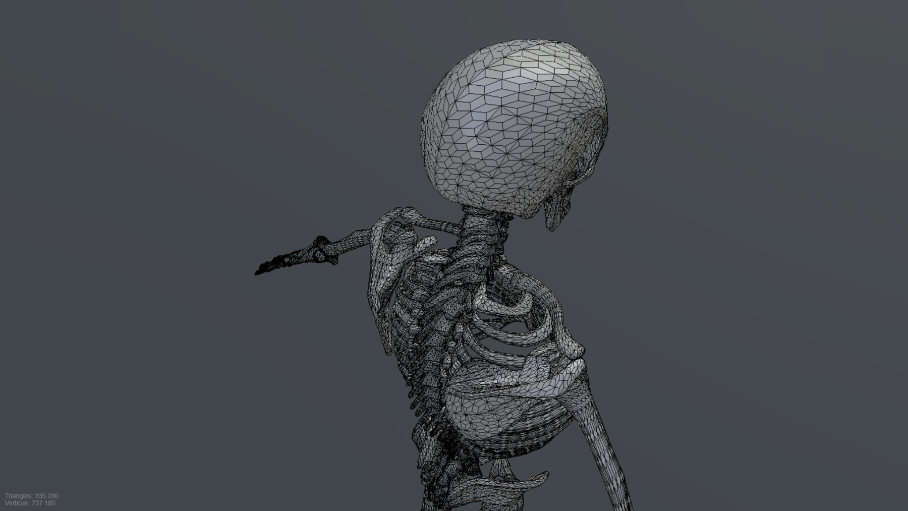 ArtStation - ANATOMIC HUMAN SKELETON low-poly PBR | Game Assets