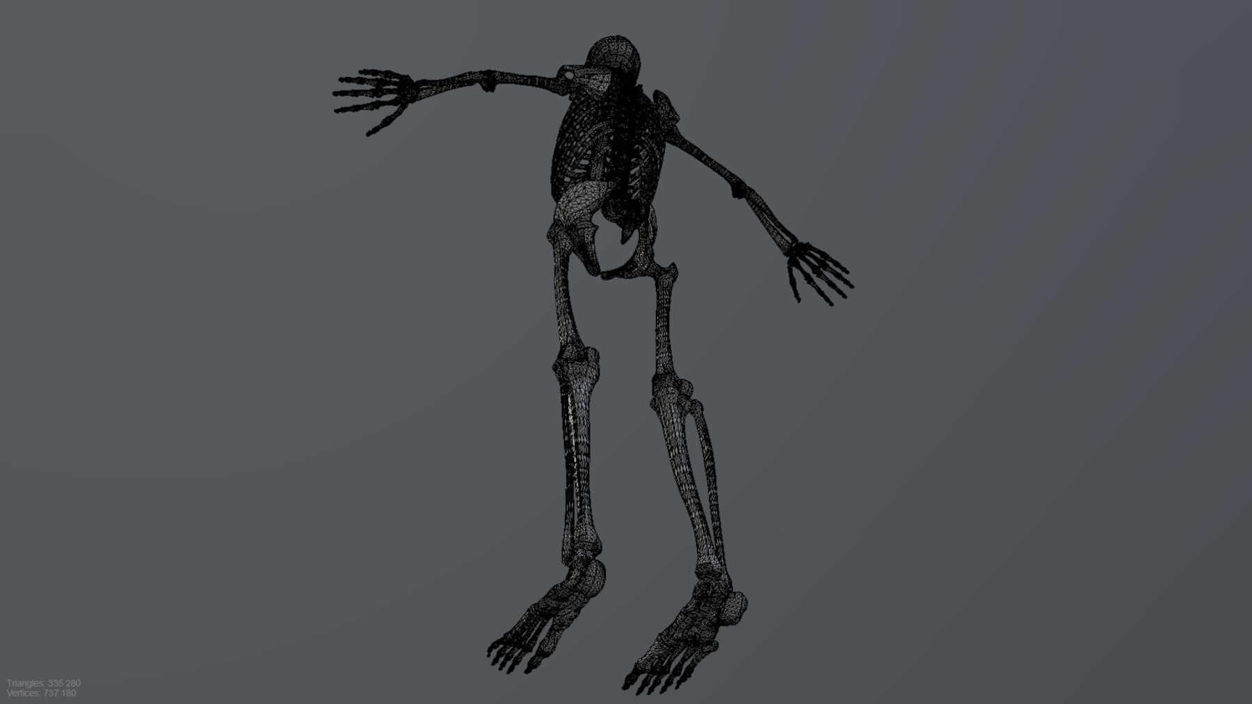 ArtStation - ANATOMIC HUMAN SKELETON low-poly PBR | Game Assets