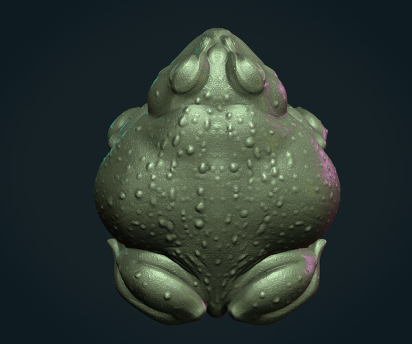 ArtStation - Fat Toad Frog | Resources