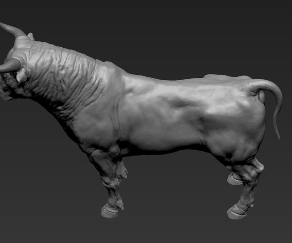 ArtStation - Bull Realistic Sculpt | Resources