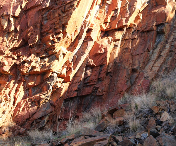 ArtStation - Australian bush & rocks reference pack | Resources