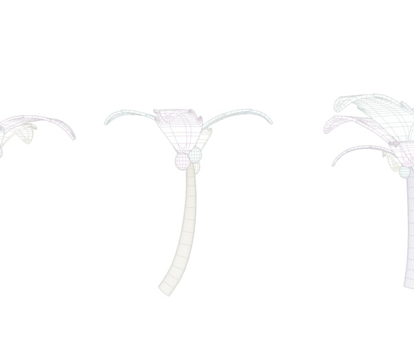 ArtStation - Stylized Coconut Tree Collection | Game Assets