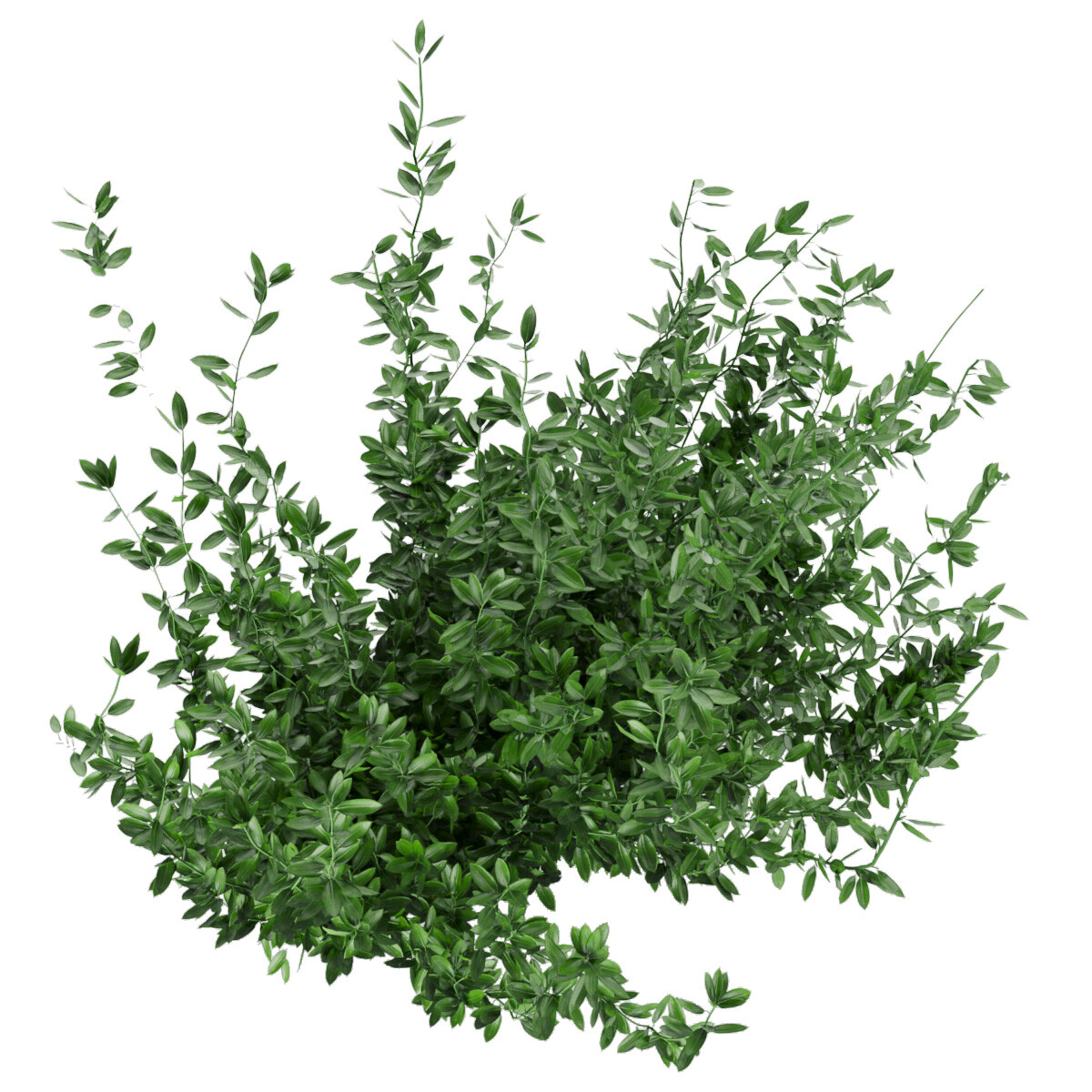 ArtStation - Collection plant vol 124 - bush - blender - 3dmax - cinema ...