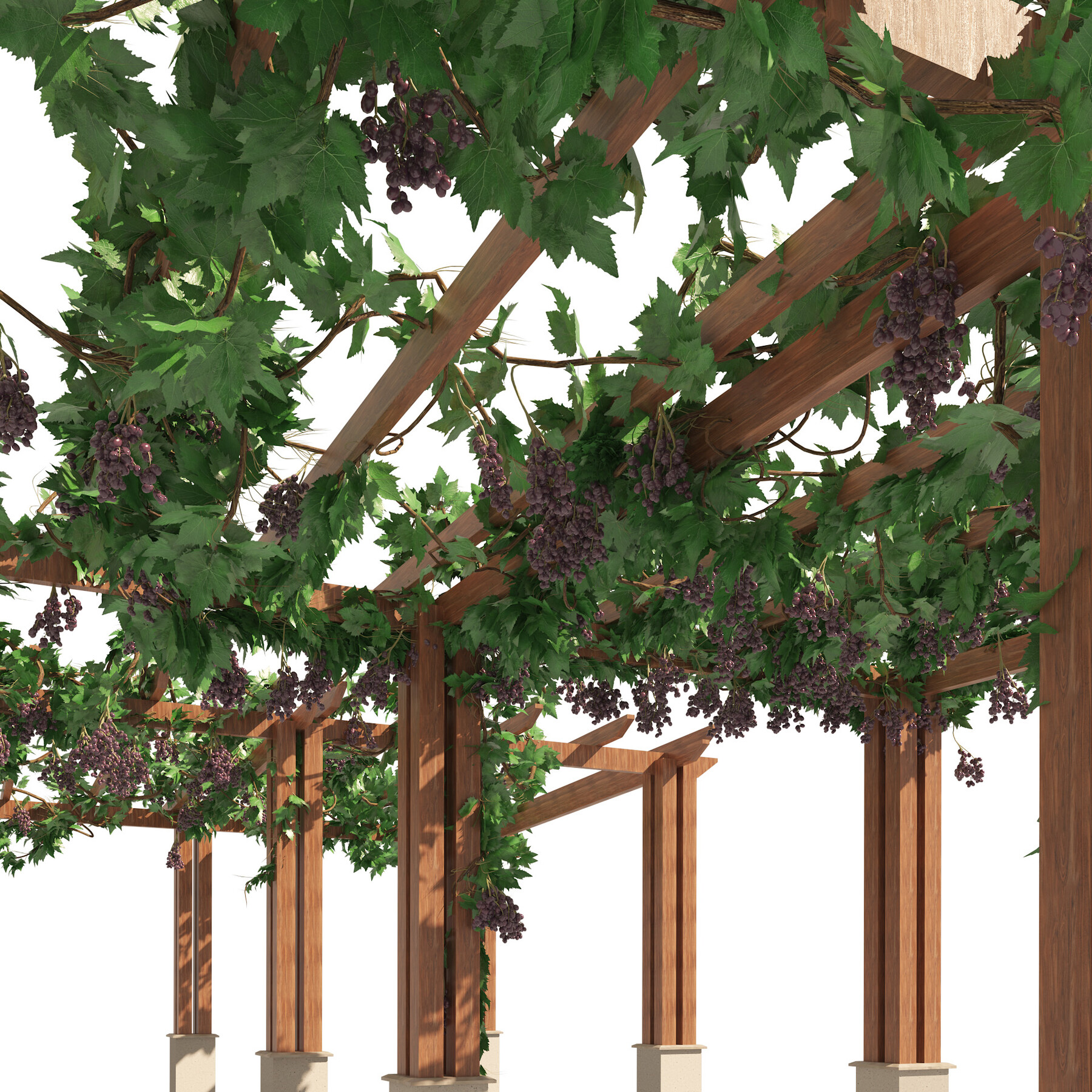ArtStation - 2 Grape Vine Pergola | Resources
