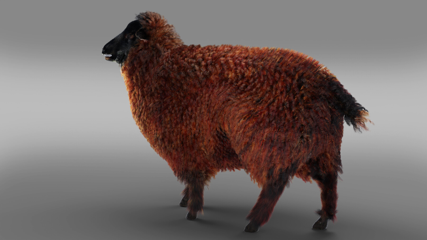ArtStation - Fur Black Sheep Rigged in Blender | Game Assets