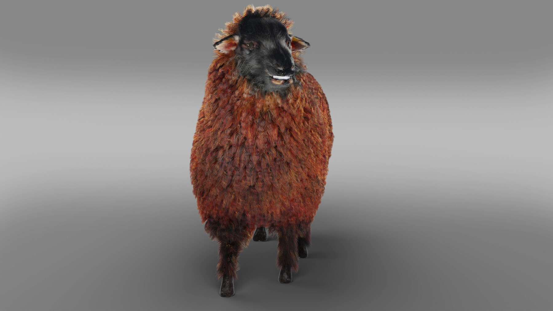 ArtStation - Fur Black Sheep Rigged in Blender | Game Assets