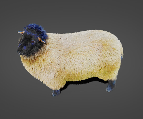 ArtStation - Fur Sheep Rigged in Blender | Game Assets