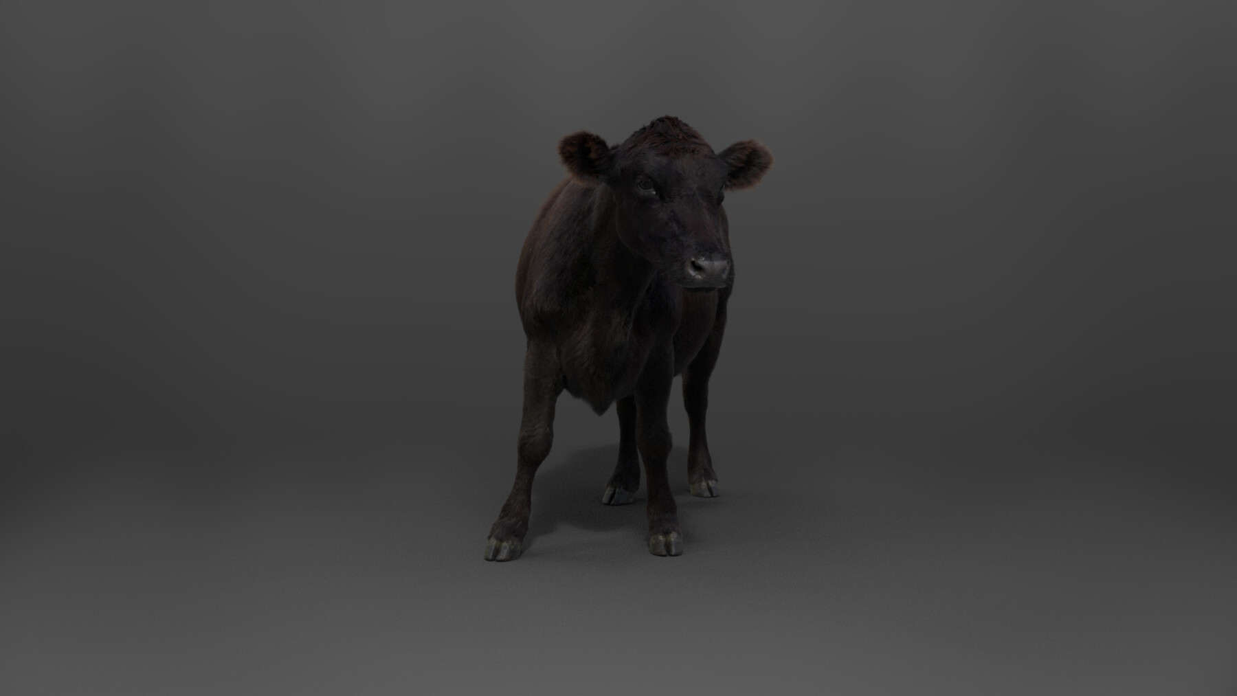 ArtStation - Black Cattle Animated | VFX Grace | Game Assets