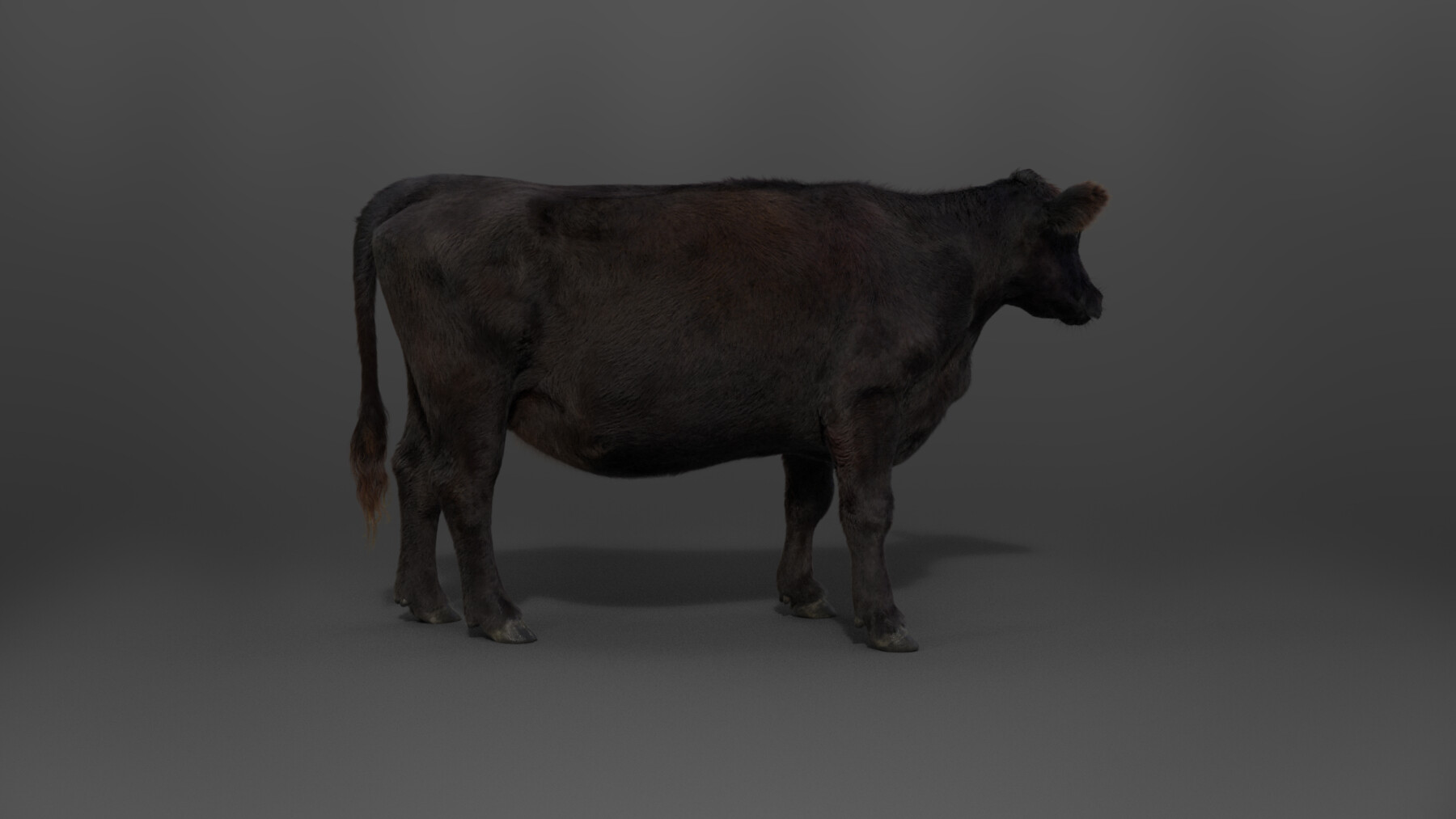 ArtStation - Black Cattle Animated | VFX Grace | Game Assets