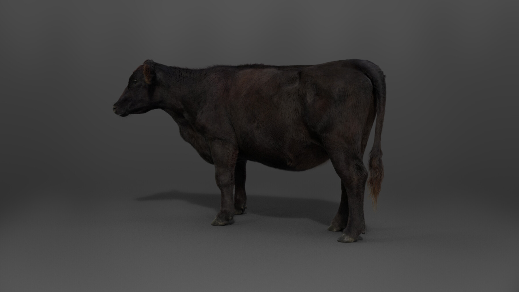 ArtStation - Black Cattle Animated | VFX Grace | Game Assets