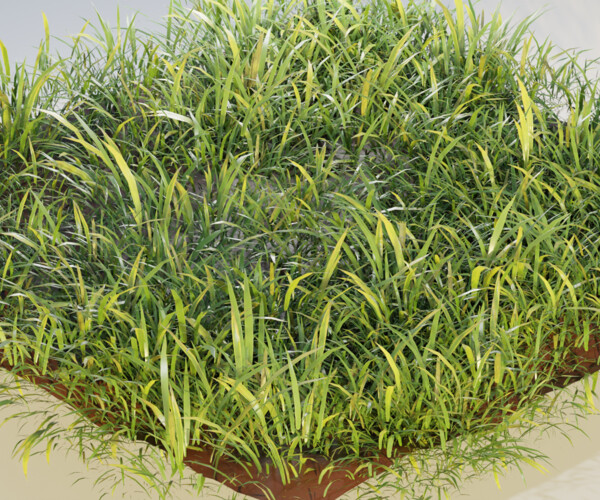 ArtStation - Realistic Grass | Game Assets