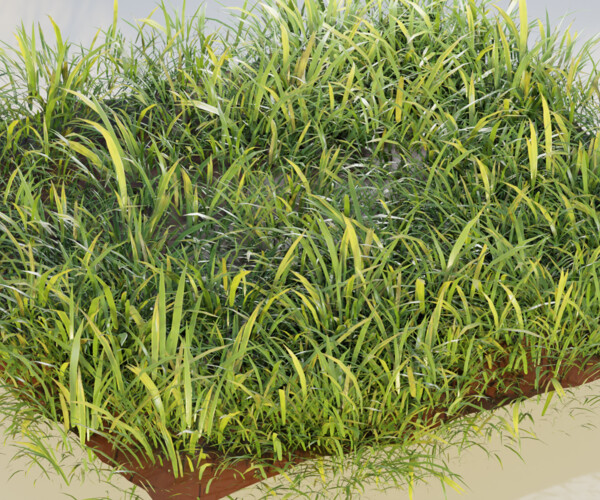 ArtStation - Realistic Grass | Game Assets