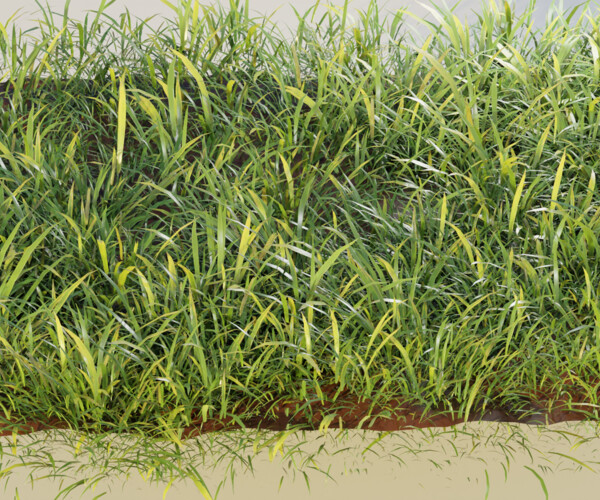 ArtStation - Realistic Grass | Game Assets