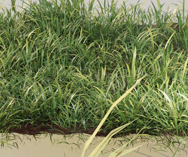 ArtStation - Realistic Grass | Game Assets