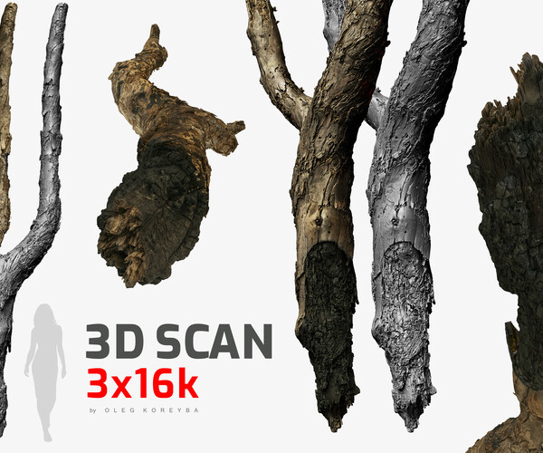 ArtStation - Burnt Tree Trunk 8x4k \ 1x16k \ 3x16k Textures Raw 3D scan ...