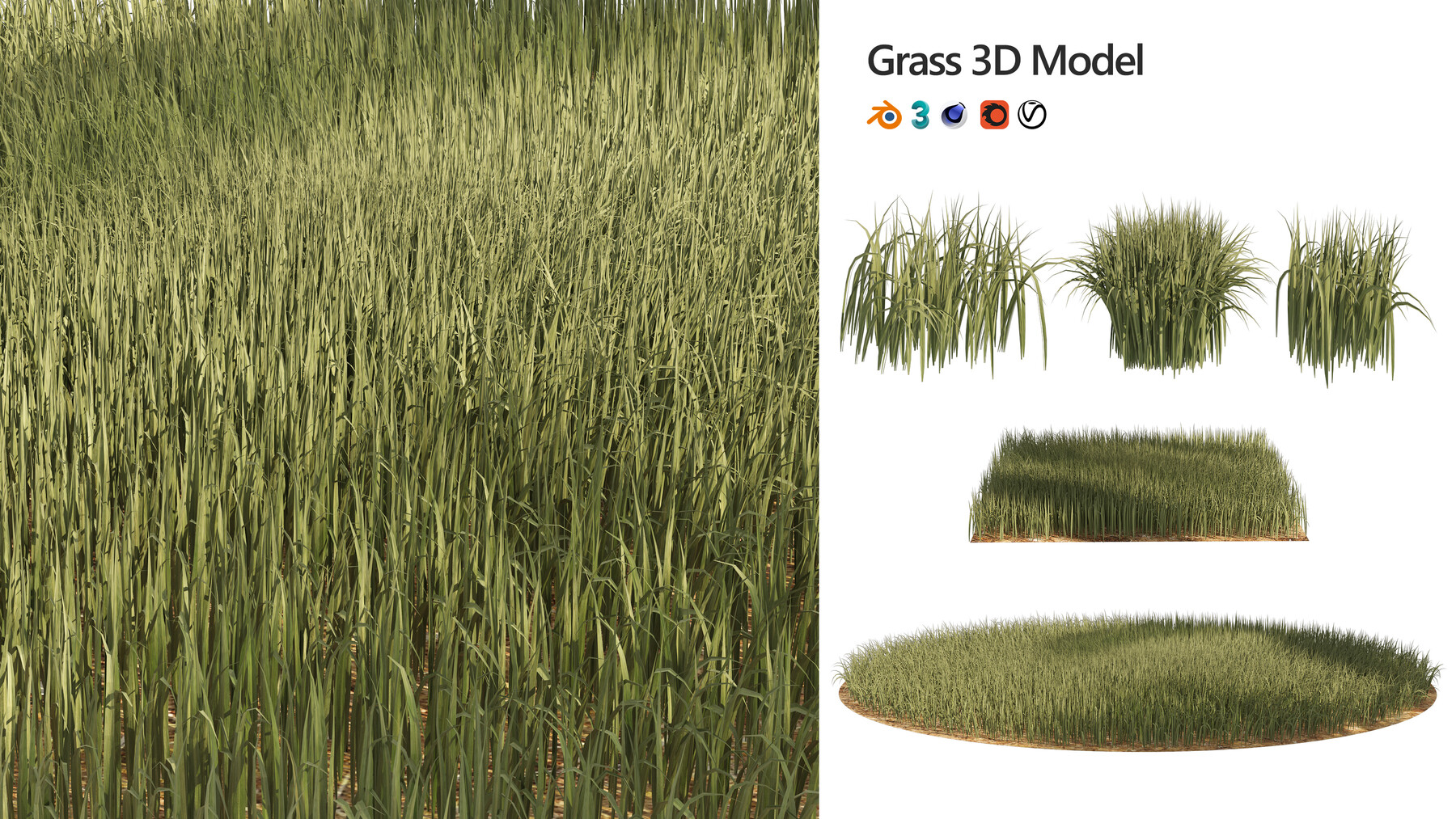 ArtStation - High Rye grass 3d model | Resources