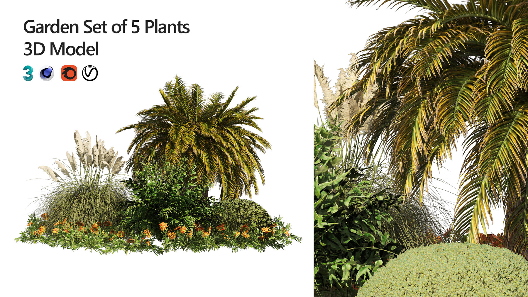 ArtStation - Outdoor Garden Set, Palm Tree, Bush & flowers 3d model ...