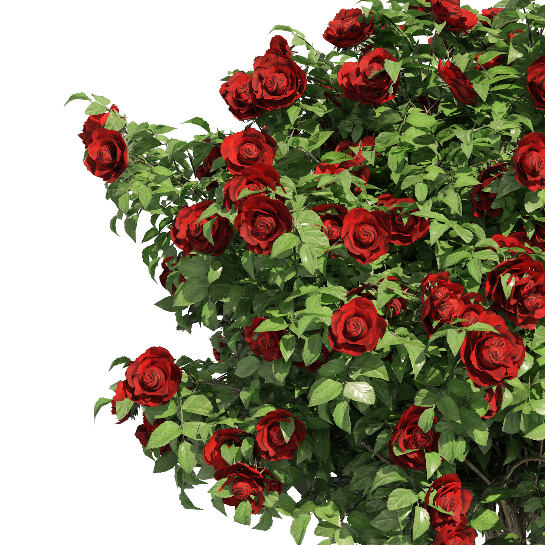 ArtStation - 3 Red Rose Flower Bush Low Poly | Resources