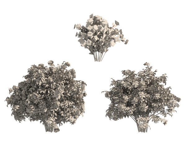 ArtStation - 3 Red Rose Flower Bush Low Poly | Resources