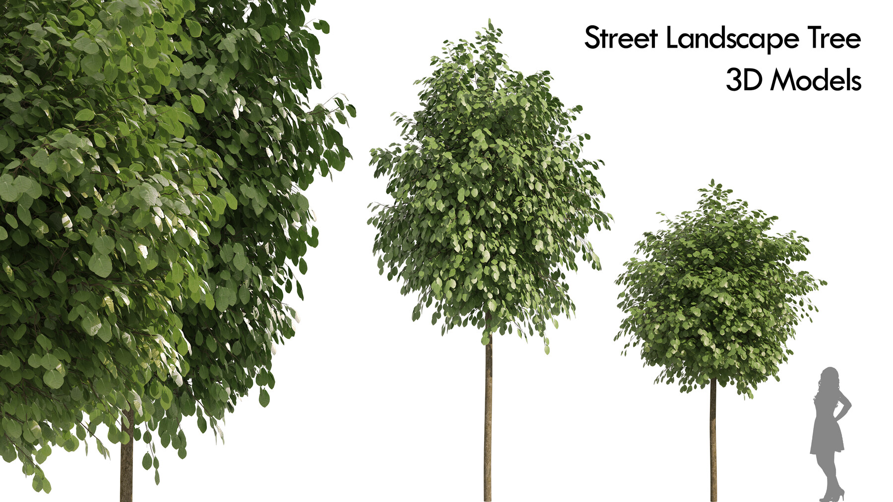 ArtStation - Street landscape tree 3d models | Resources