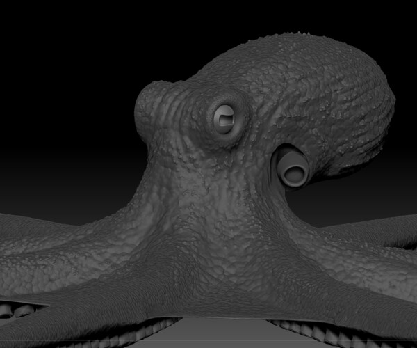 ArtStation - Octopus | Game Assets