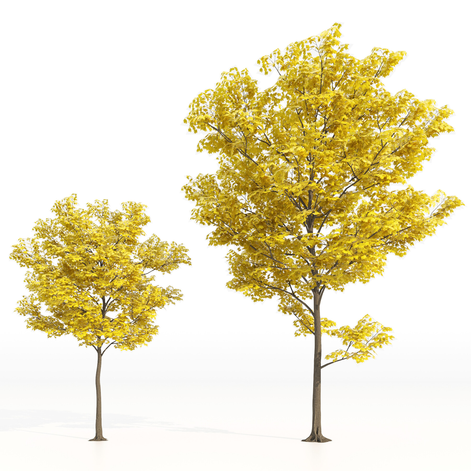 ArtStation - Yellow leaf autumn tree | Resources