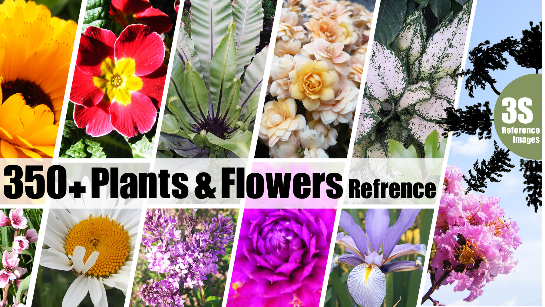 ArtStation - 350+ Plants and Flowers Refrence (photos) | Resources