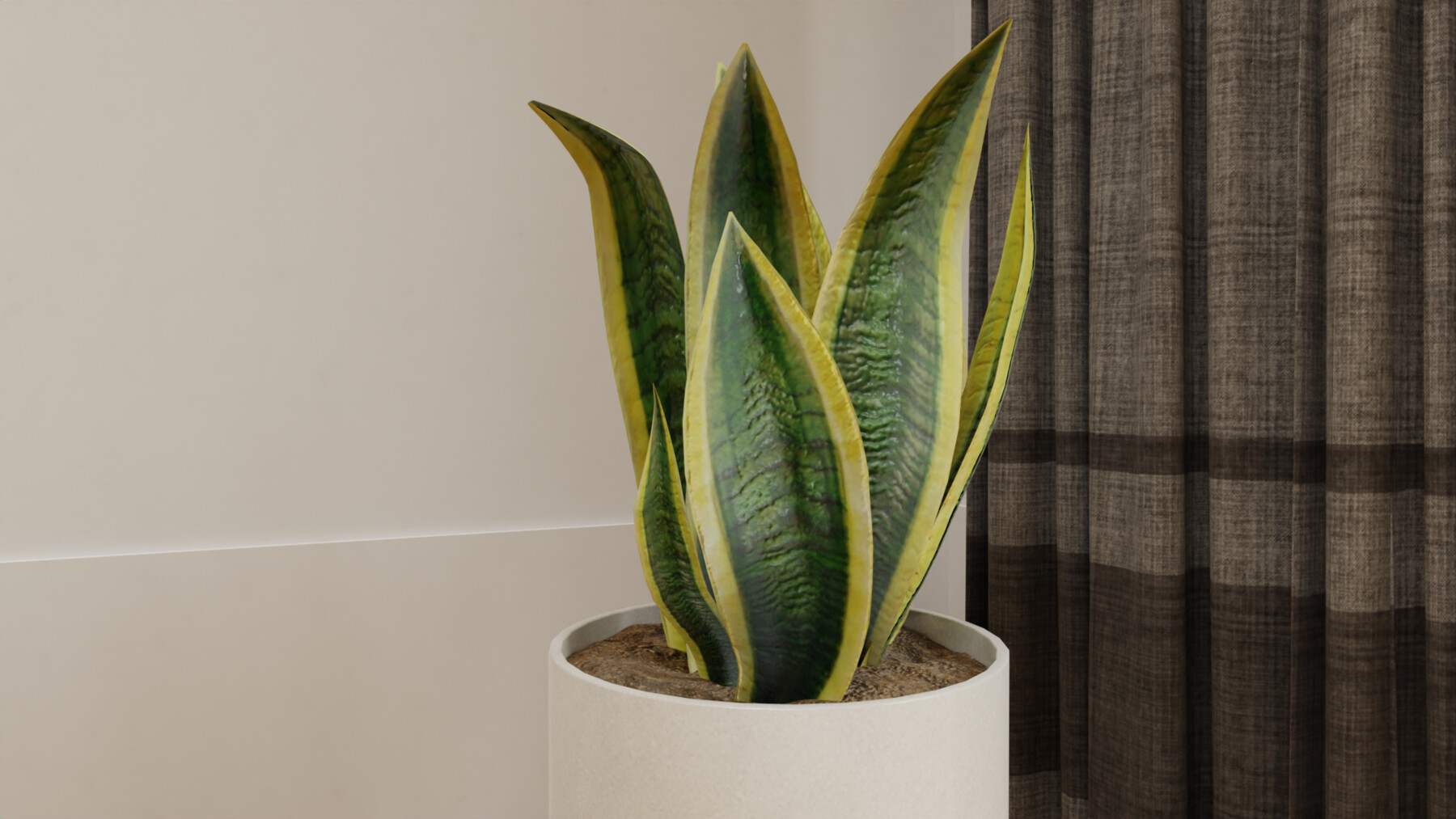 ArtStation - Snake Plants collection ( plants vol 01) | Game Assets