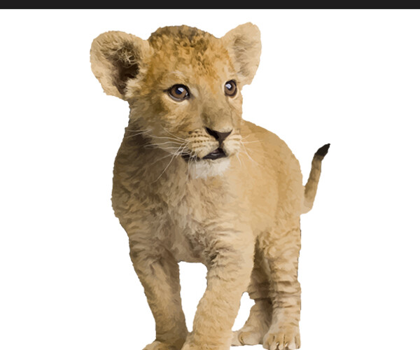 ArtStation - Lion Cub Vector Illustration | Artworks