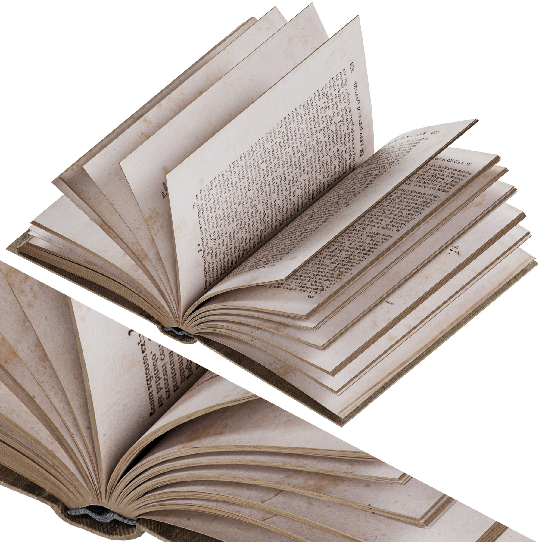 ArtStation - Set of Books 8 - Opened books | Resources