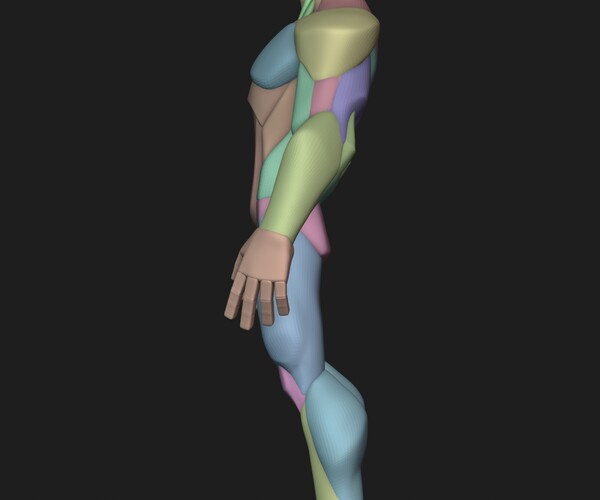 ArtStation - Infinity Hero Anatomy Blockout | Resources