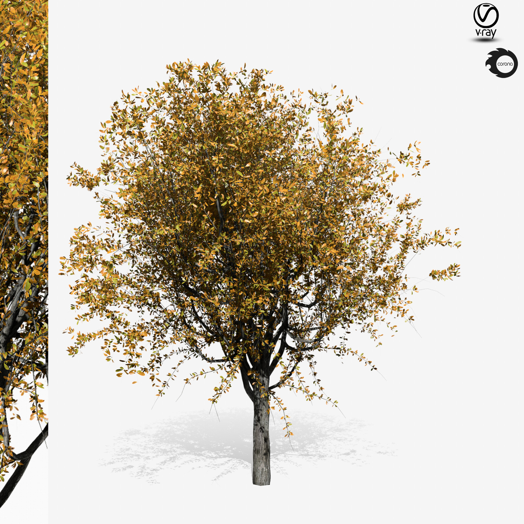 ArtStation - tree-s03 | Resources
