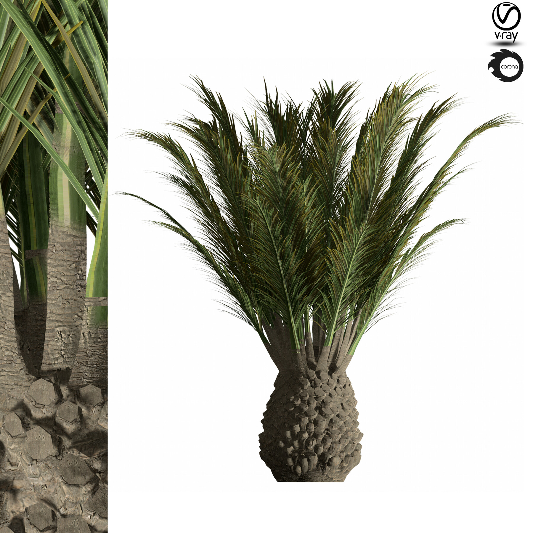 ArtStation - palm tree-s02 | Resources