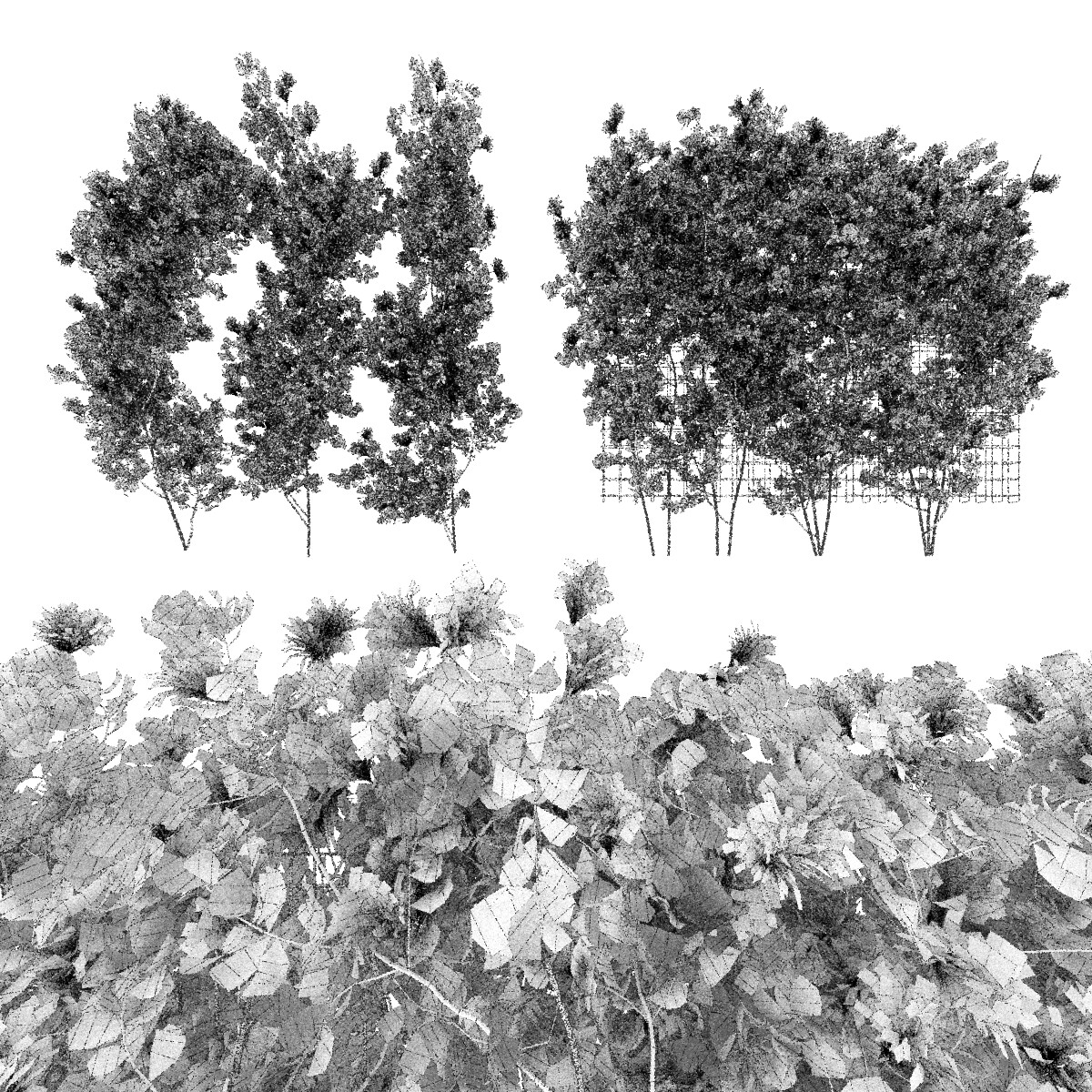 ArtStation - Collection plant vol 227- leaf - bush - blender - 3dmax ...