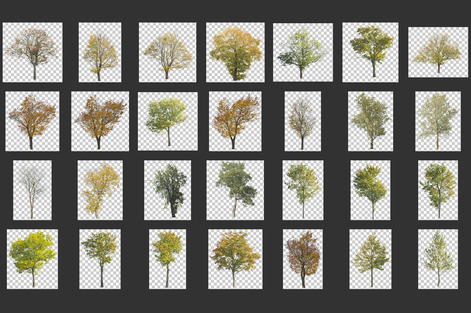 ArtStation - 100 Autumn trees isolated PNG transparent, Digital tree ...