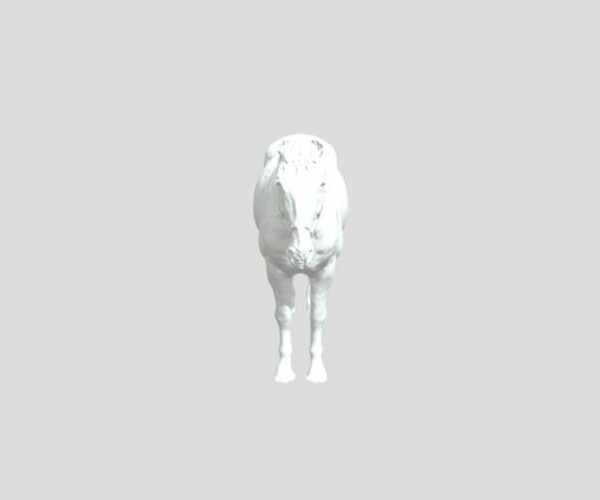 ArtStation - Horse 3D Scans | Resources