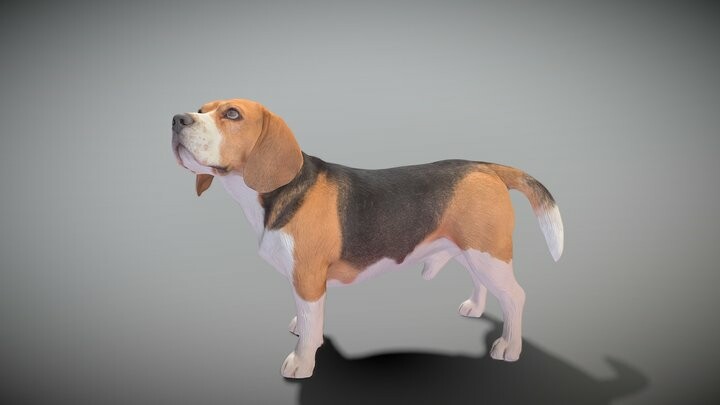 ArtStation - Walking dog 27 | Game Assets