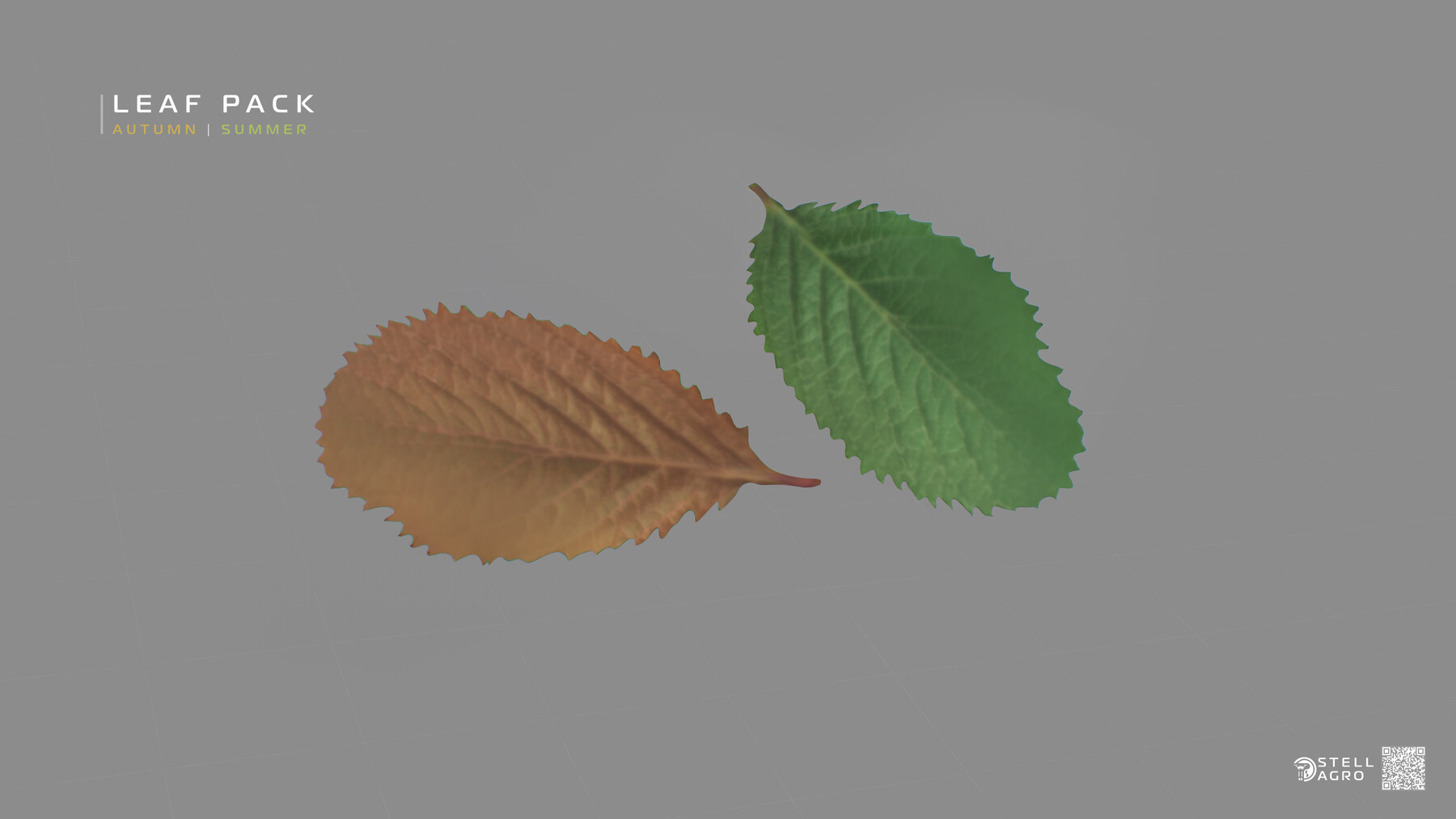 ArtStation - Leaf Pack | Stell Agro | Resources