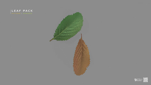 ArtStation - Leaf Pack | Stell Agro | Resources