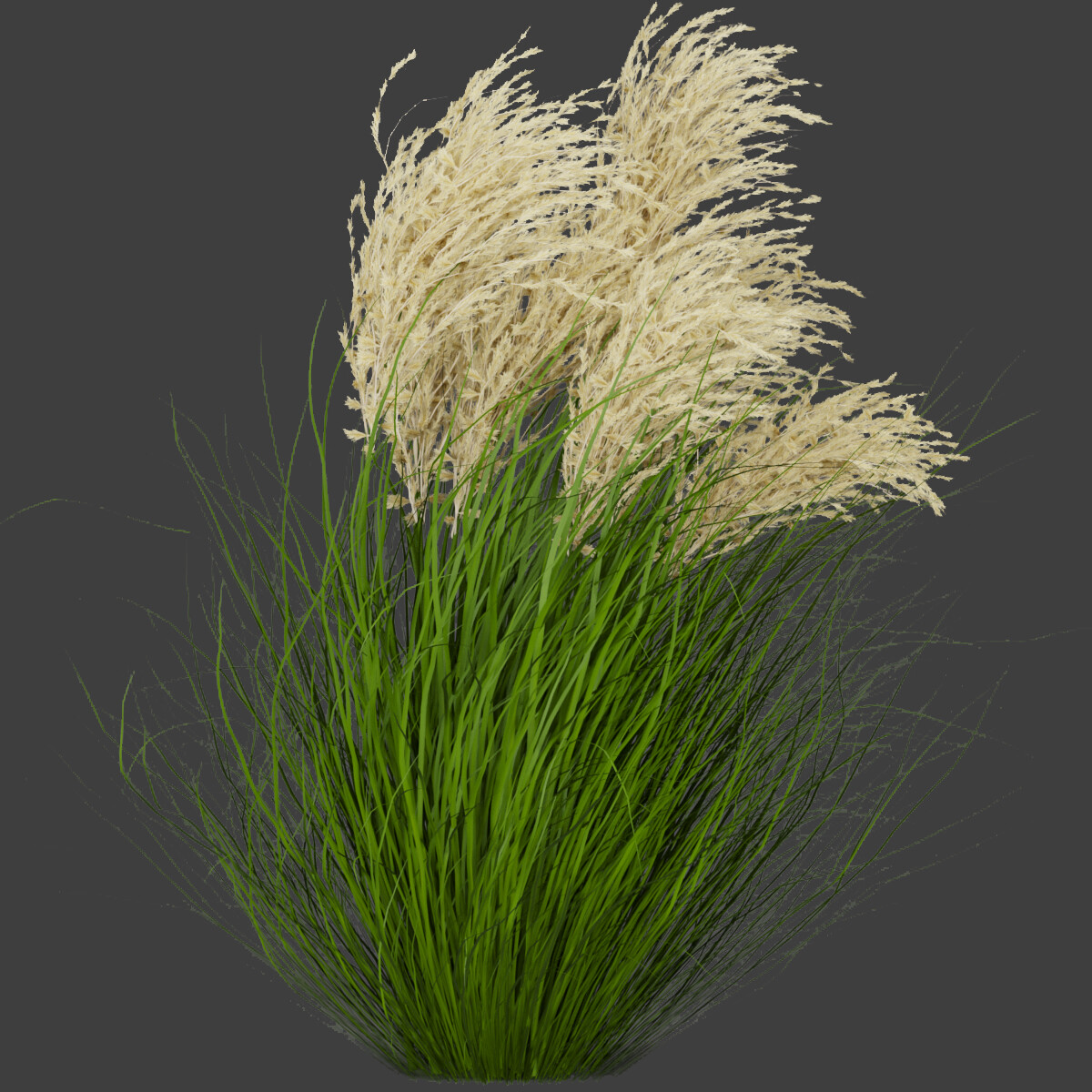 ArtStation - Collection plant vol 278 - grass - outdoor - blender ...