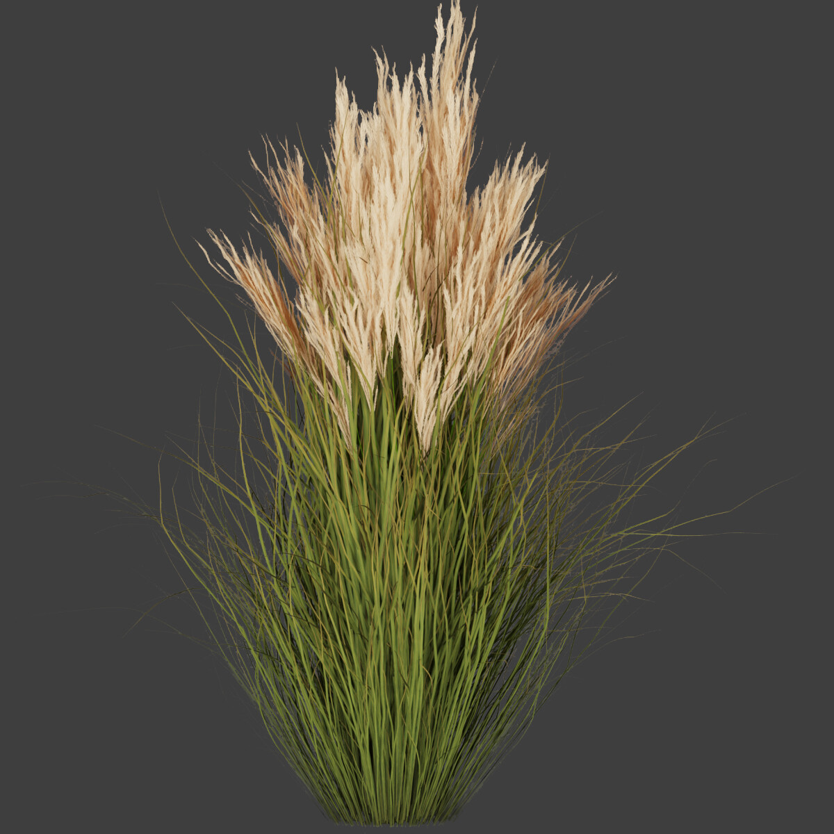 ArtStation - Collection plant vol 278 - grass - outdoor - blender ...