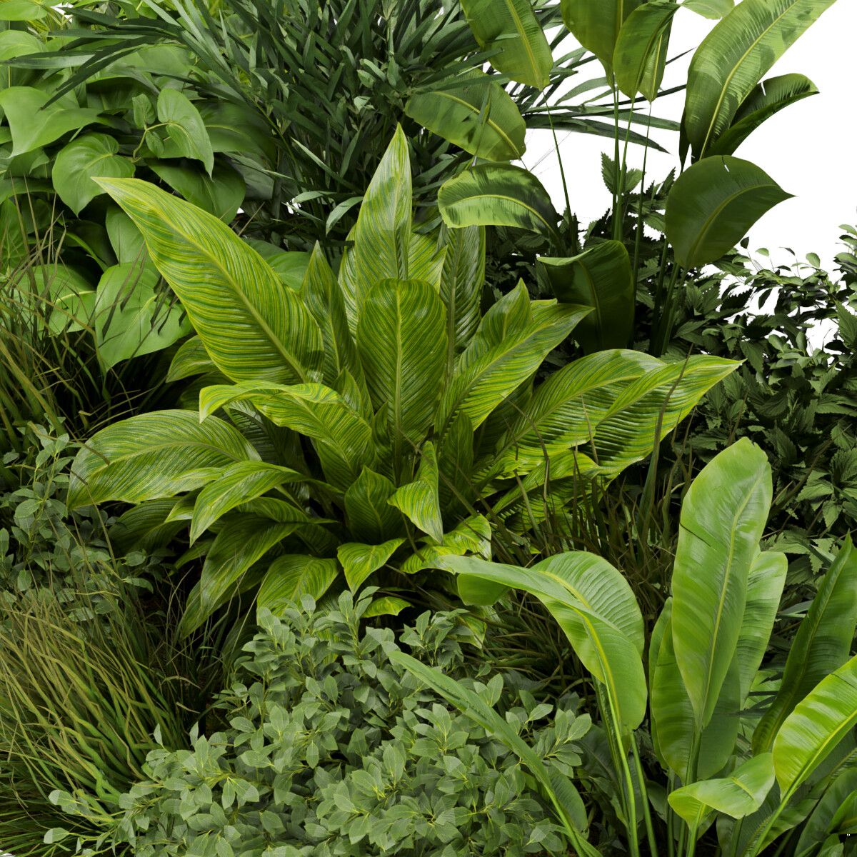 ArtStation - Collection plant vol 283 - outdoor - garden - leaf ...