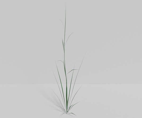 ArtStation - Grass | Game Assets