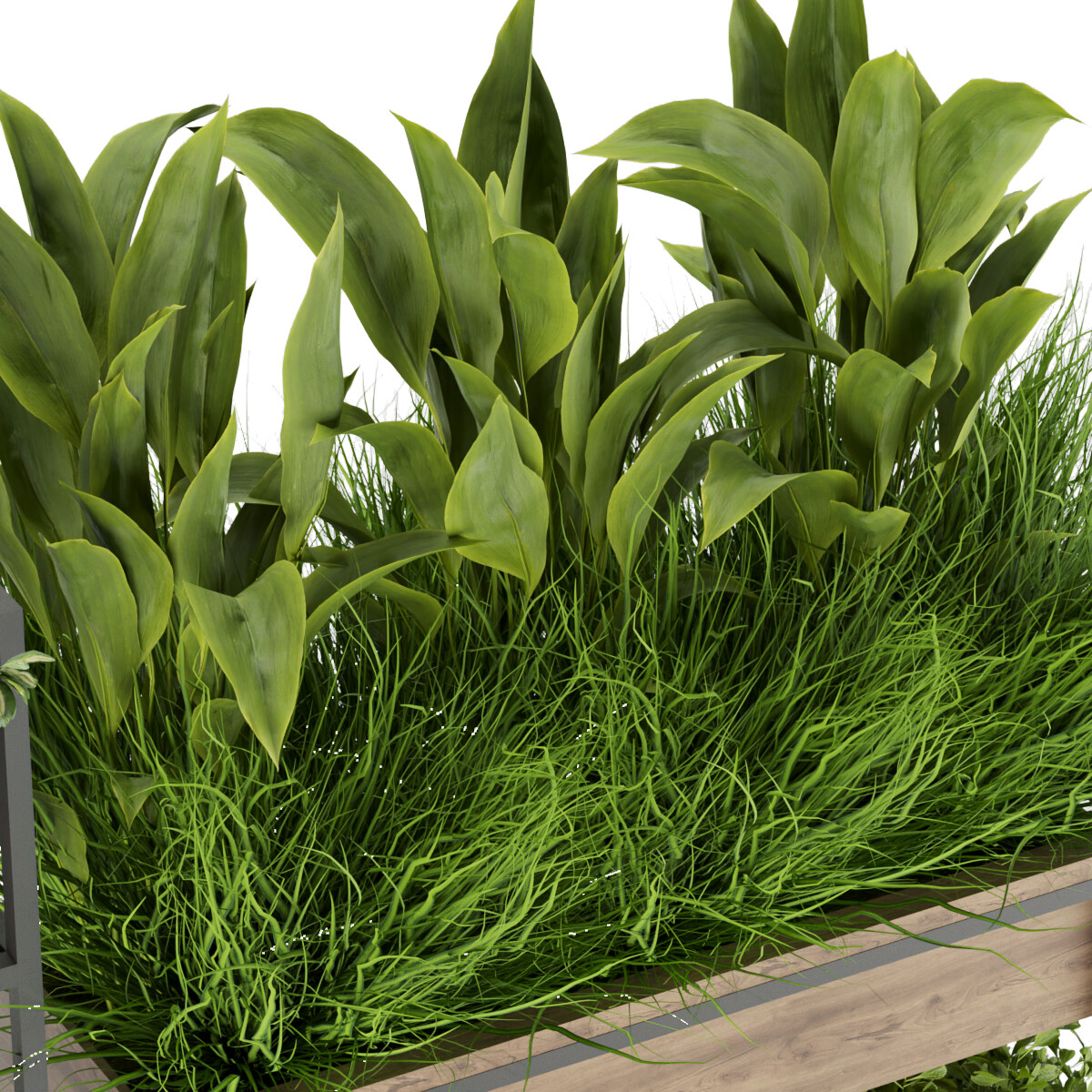 ArtStation - Collection plant vol 296 - indoor - leaf - blender - 3dmax ...