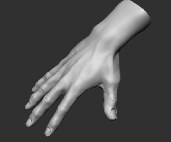 ArtStation - FREE Hand | Resources