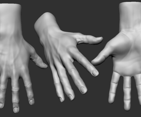 ArtStation - FREE Hand | Resources