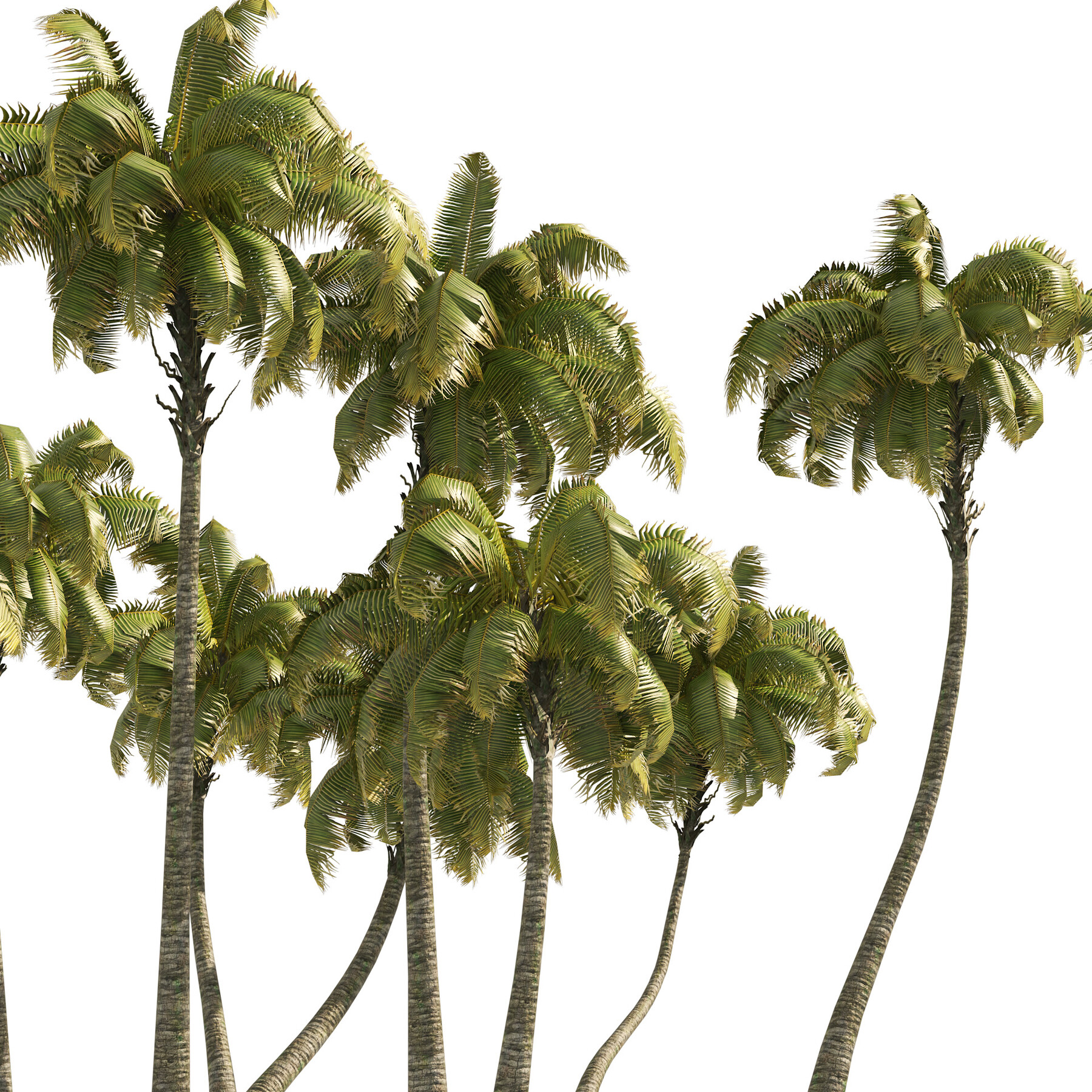 ArtStation - Coconut tree beach, low poly | Resources