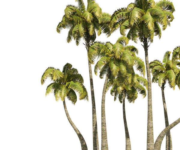 ArtStation - Coconut tree beach, low poly | Resources