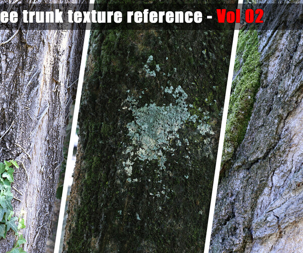 ArtStation - Tree trunk texture reference - Vol 02 | Resources